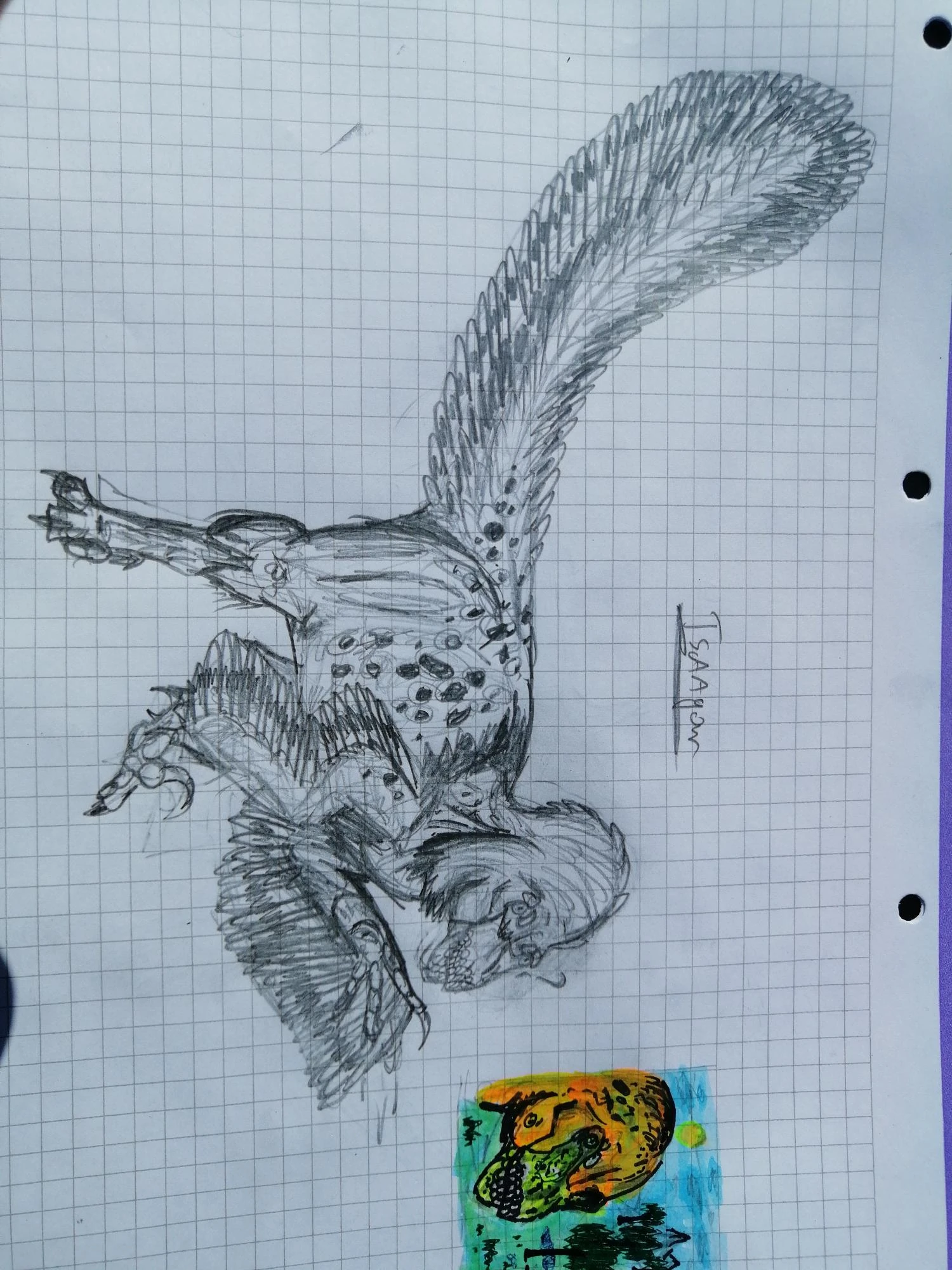 Tsaagan drawing | Fandom