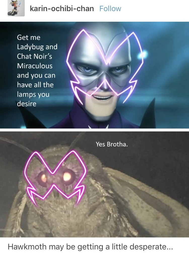 Hawkmoth memes day 4 | Fandom