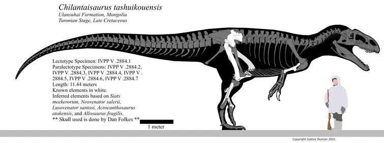 Who is more chad? | Fandom