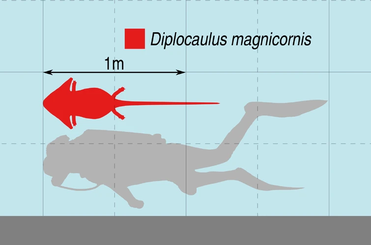 My drawing of Diplocaulus: | Fandom