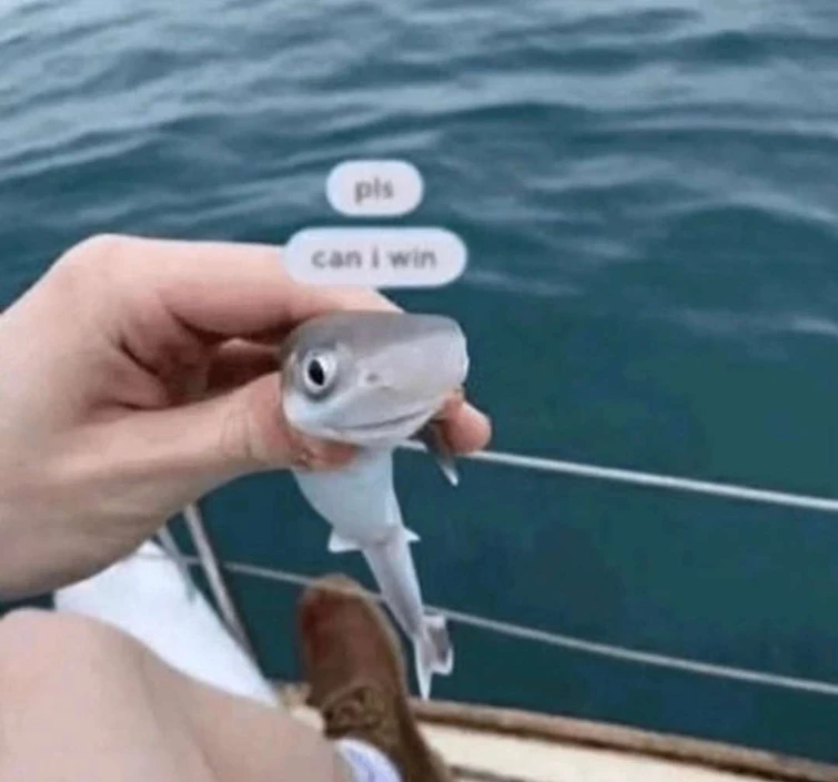 This is the chat in Slap Royale | Fandom