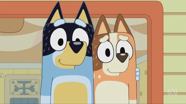 i think they should add these to the gallery of Chilli Heeler. | Fandom