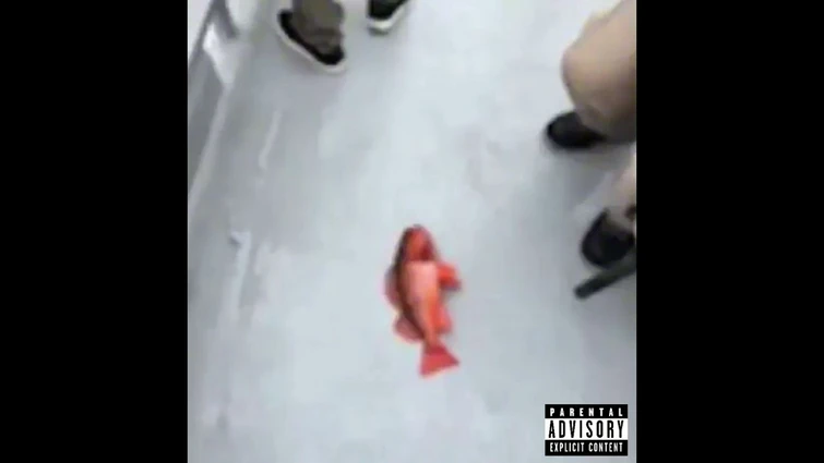 fish fish fish fish fish fish fish | Fandom