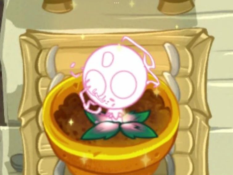 cursed pvz pictures that i have in my photo libary | Fandom