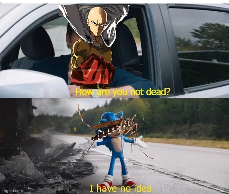 Send Memes And Knuckles Will Approve Or Disapprove Of It | Fandom