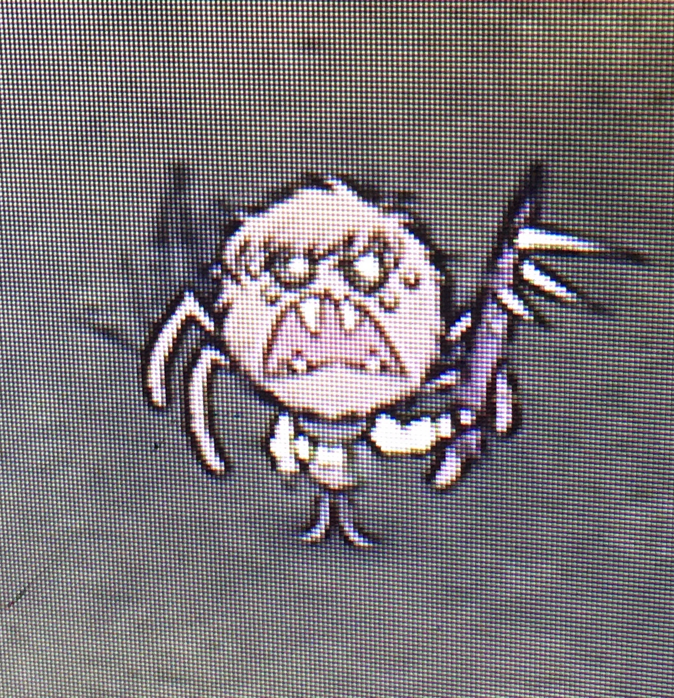 I got the webby boy | Fandom