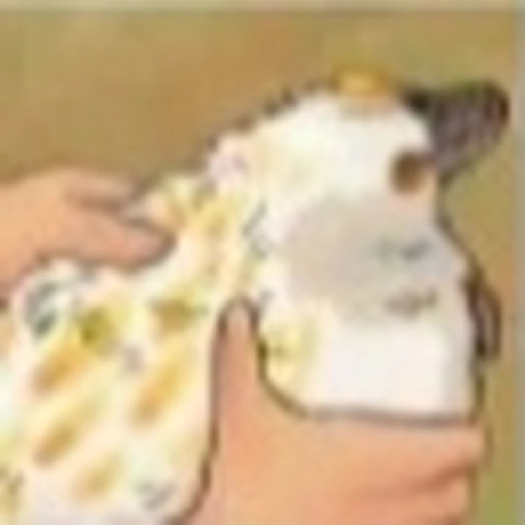 QWEK QWEK ( ALPHA ALARM) | Fandom