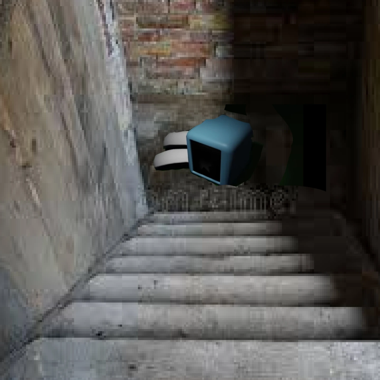 This shouldn't be in my basement | Fandom