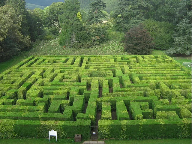 Hedge Maze | Fandom