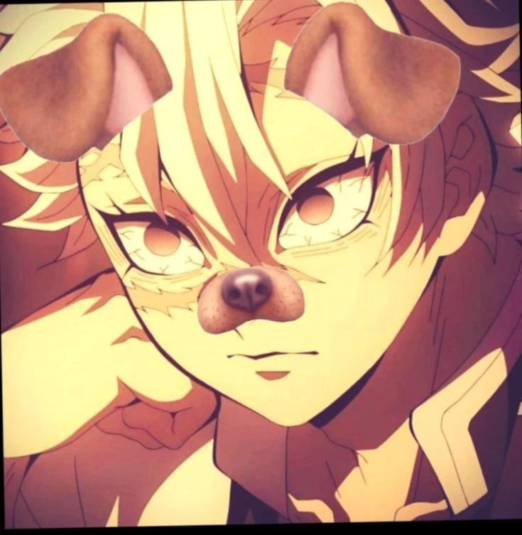 He fits the dog filter help | Fandom