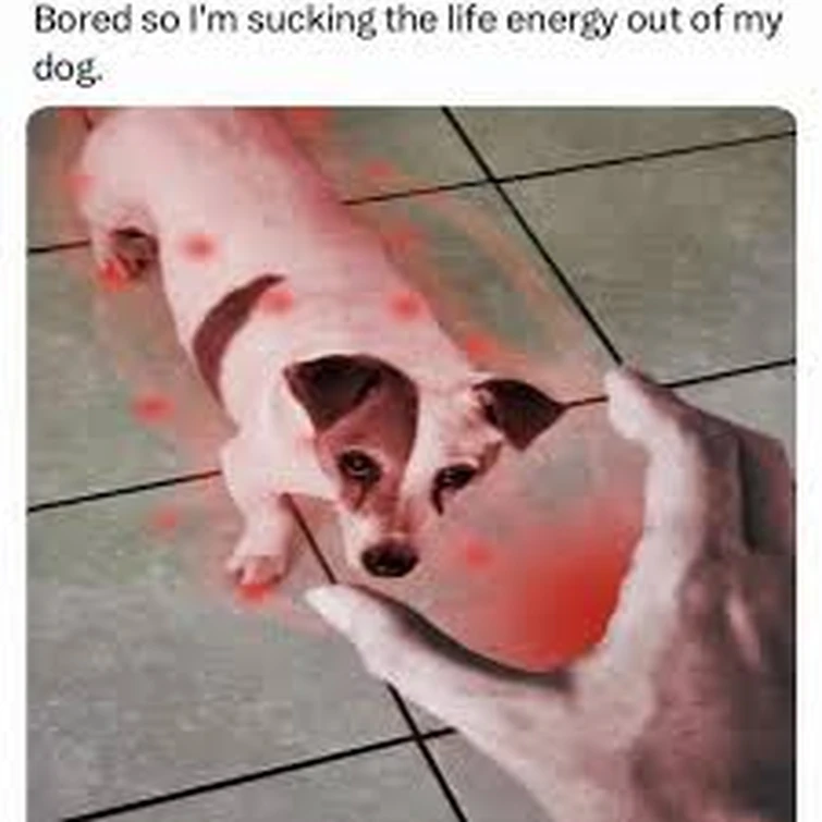 most upvoted image will be my pfp for a whole week | Fandom