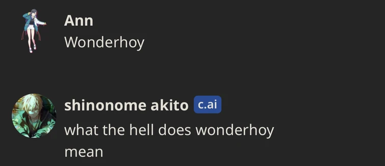Bro doesn’t know what Wonderhoy means | Fandom