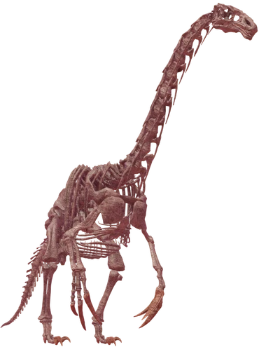 Favorite Halloween 2025 Part I Skins A | Fandom