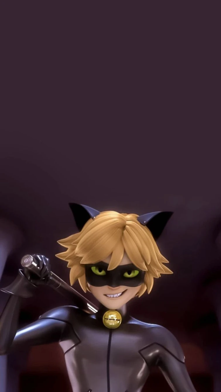 Cat noir??? | Fandom