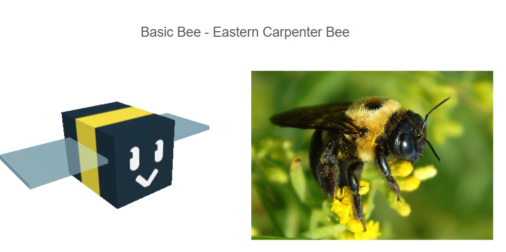 BSS Bees and their irl counterparts! Rares :) | Fandom