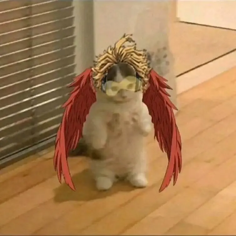 Happy Birthday Hawks!!! | Fandom