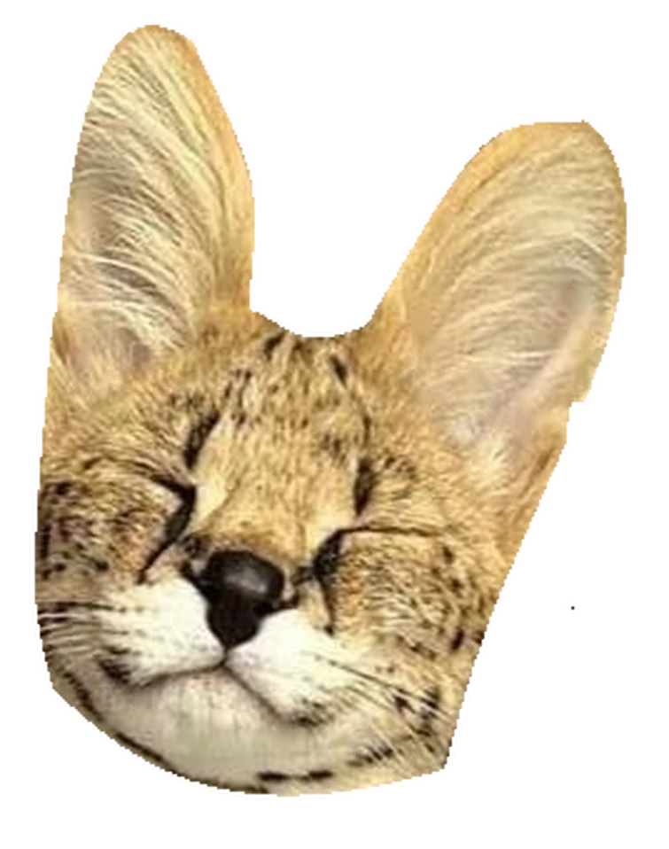 Discuss Everything About Soggapedia Revamped Wiki | Fandom