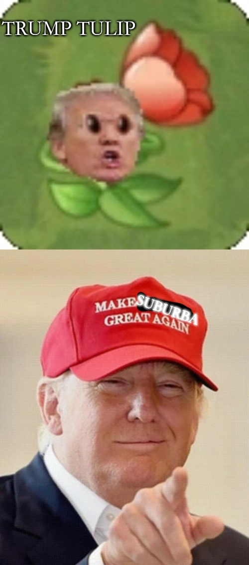 Memes(I mean fry'em and frying sounds similar right?) | Fandom