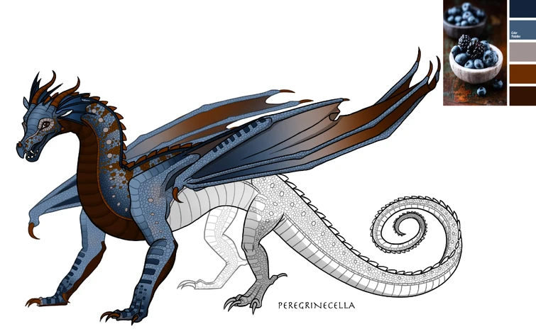 RainWing OC | Fandom