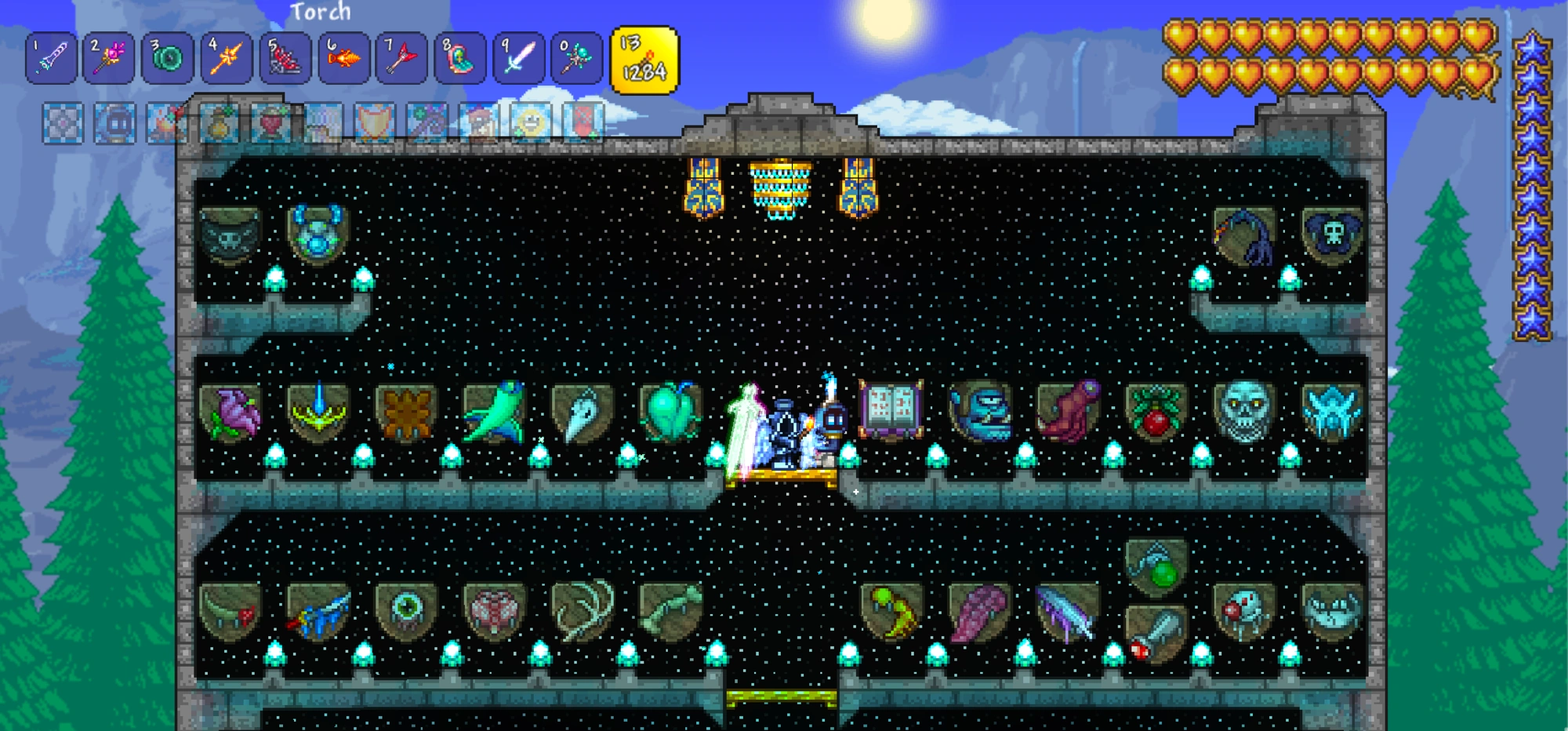 Finally completed my trophy room | Fandom