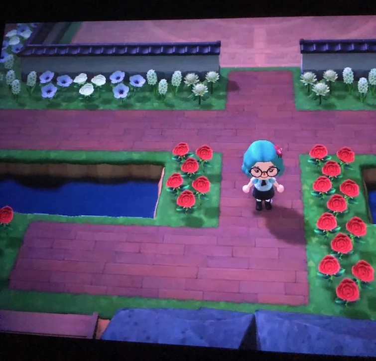Town Square Ideas? | Fandom