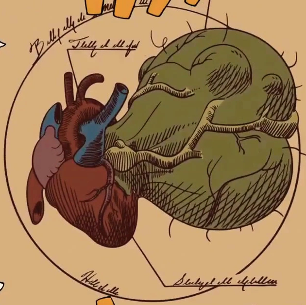 Witch Internal Anatomy | Fandom