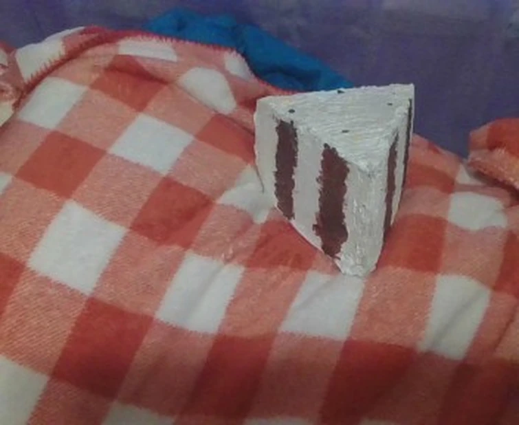 MOXXIE 3D CAKE I MADE IN 6TH GRADE! | Fandom