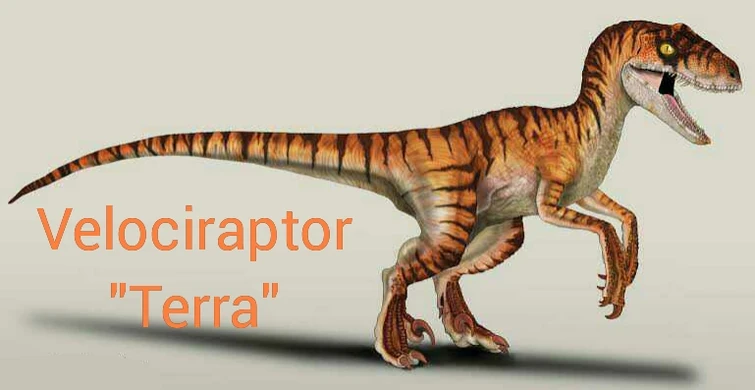 Meet Terra | Fandom