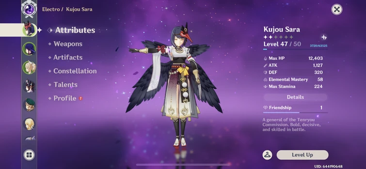 Rate my DPS Sara build 😇 | Fandom