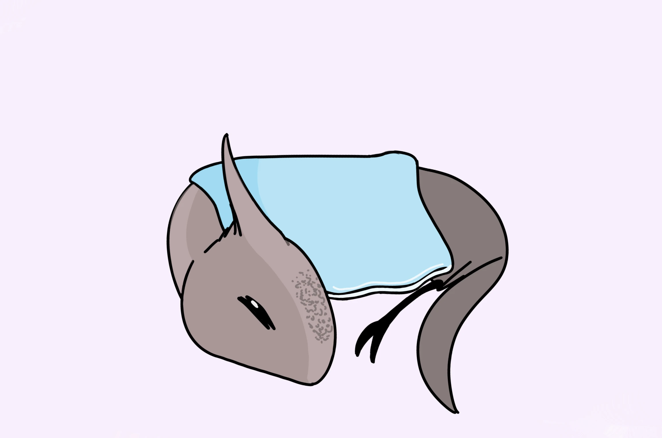 Good night wiki | Fandom