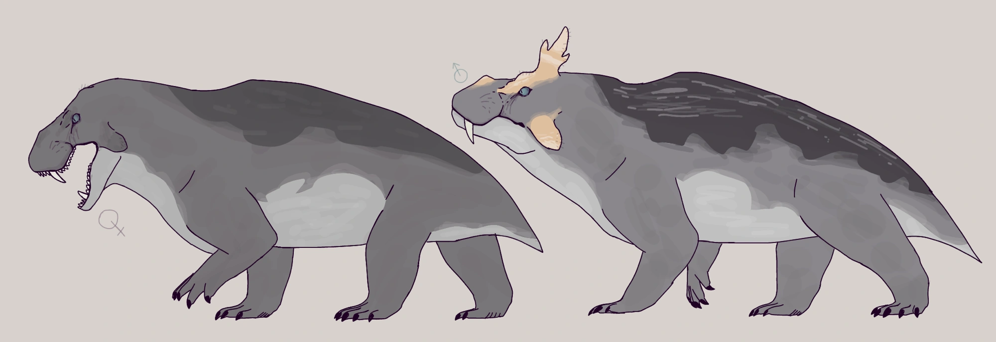 Estemmenosuchus mirabilis dimorphism | Fandom