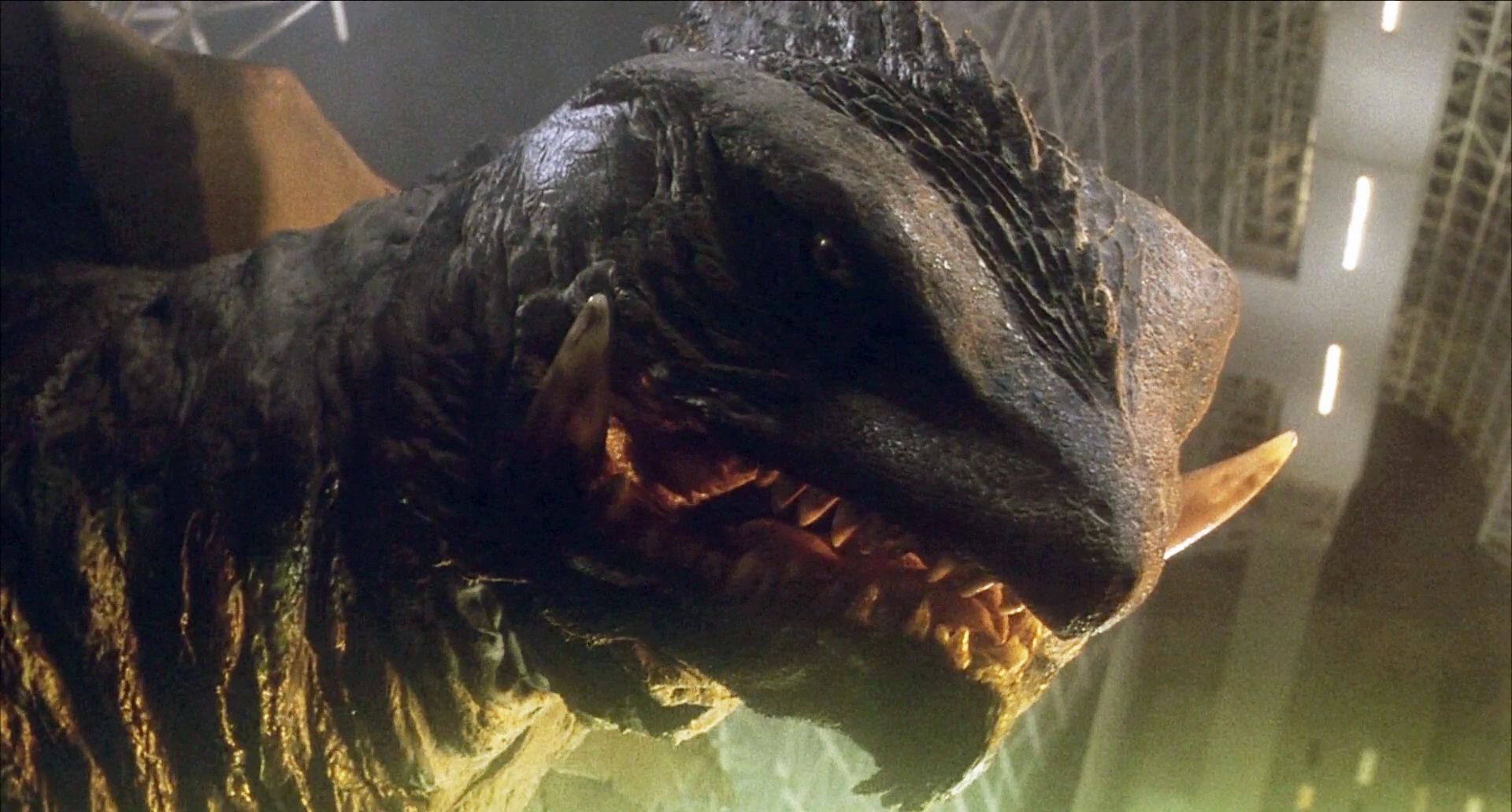 KittenVerse: Gamera | Fandom