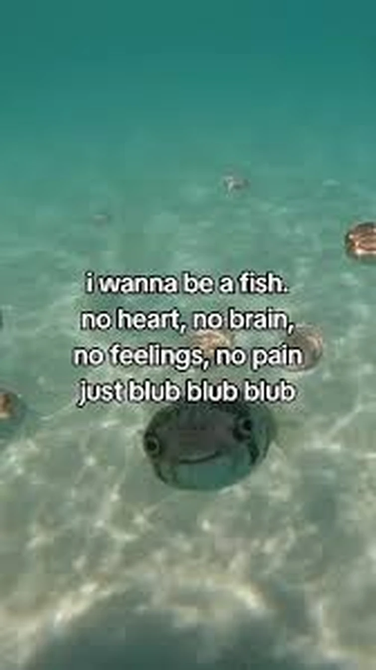 Fish | Fandom