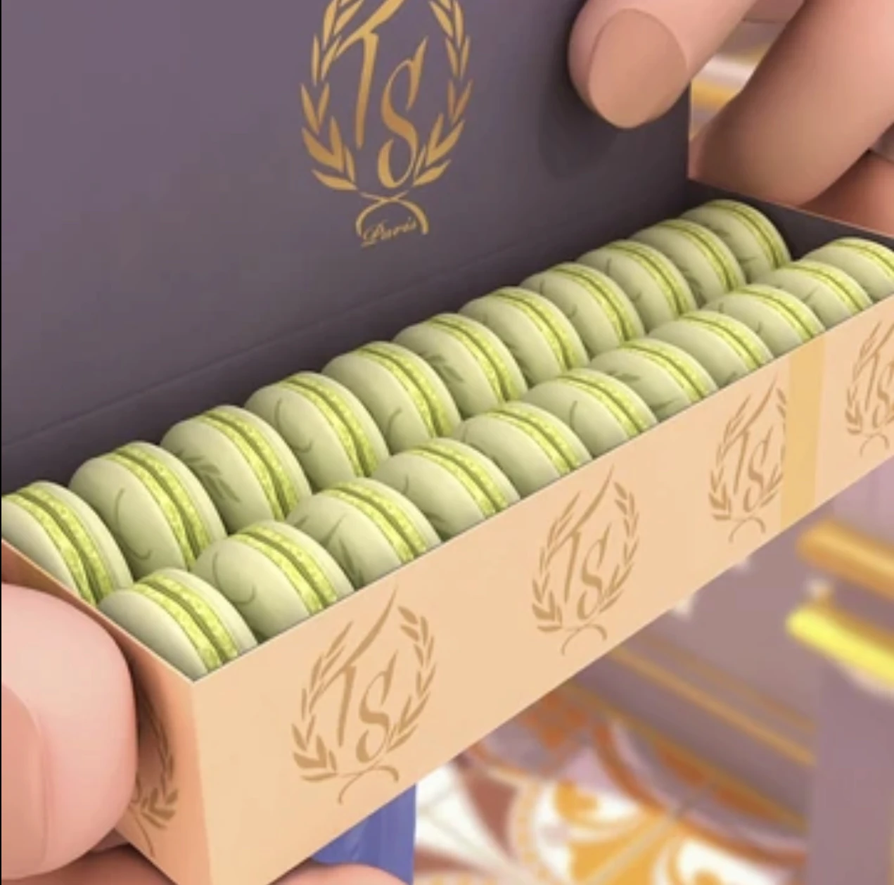 Goodnight everyone have some macarons | Fandom