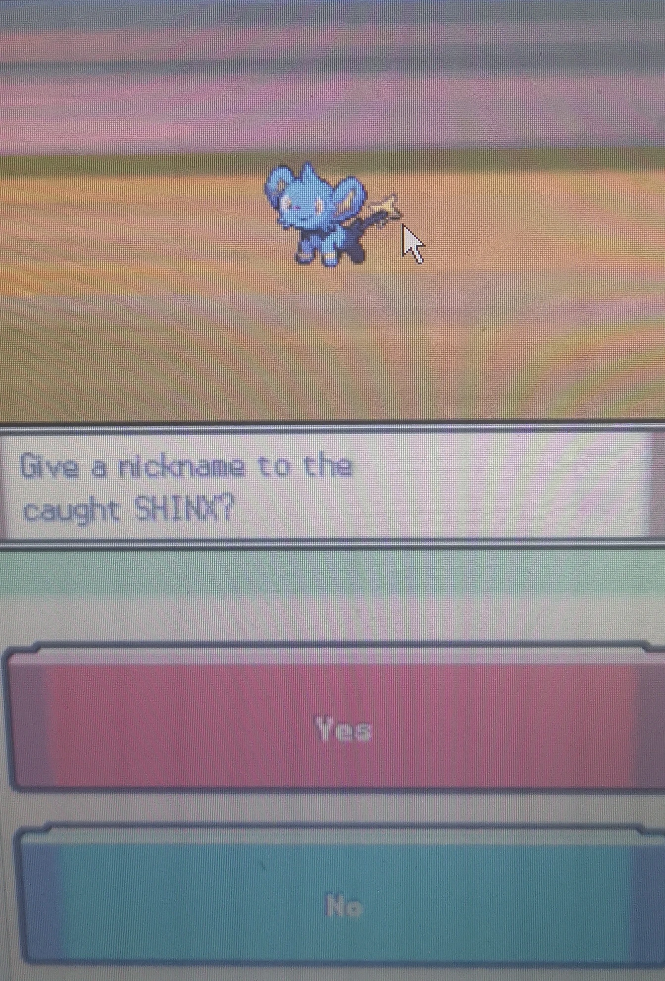 Who wants to be a shinx -.-? | Fandom