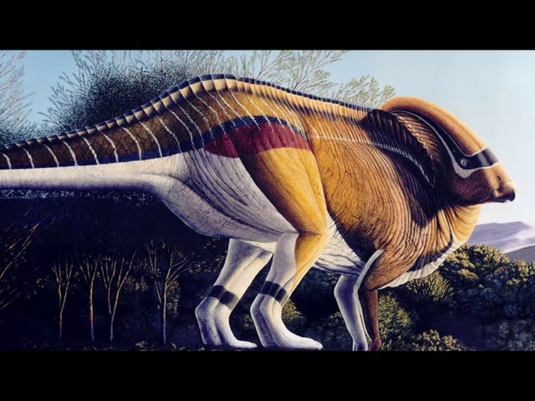 Compilation of thy coolest paleo sound | Fandom