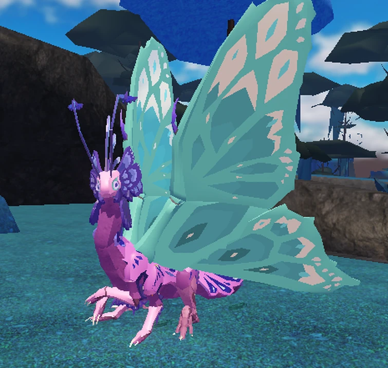 flutter momola | Fandom