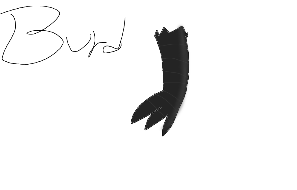 We don't talk about the feet | Fandom