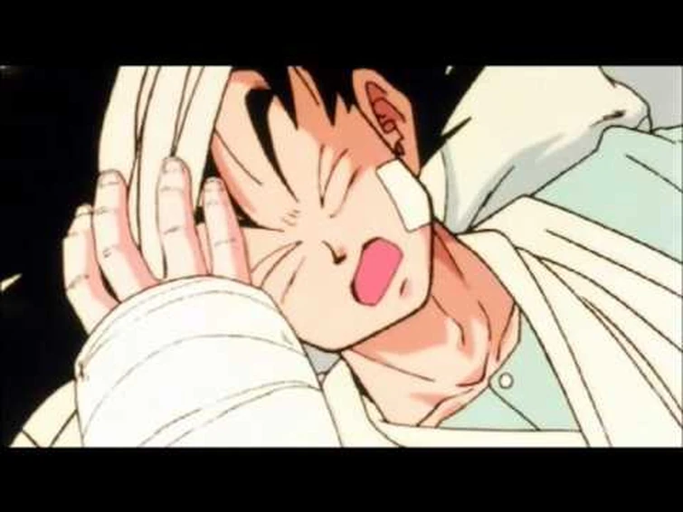 Discuss Everything About Dragon Ball Wiki | Fandom