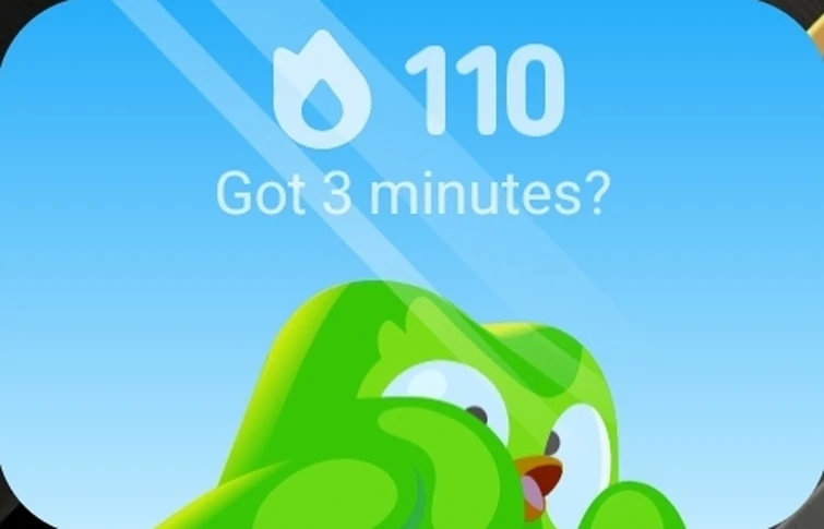 Every Duolingo widget I have a screenshot of (so far) | Fandom