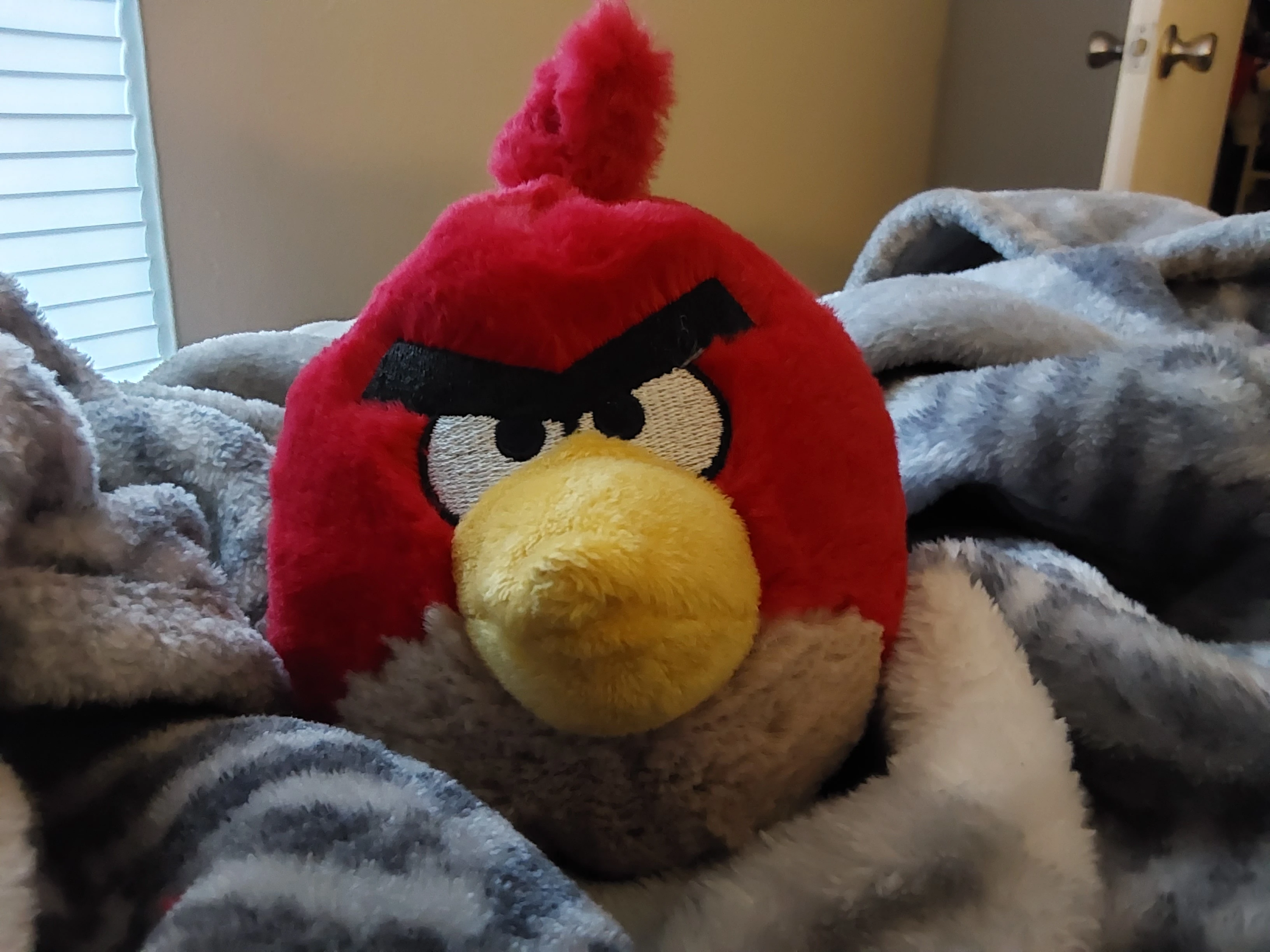 I got a new plush | Fandom