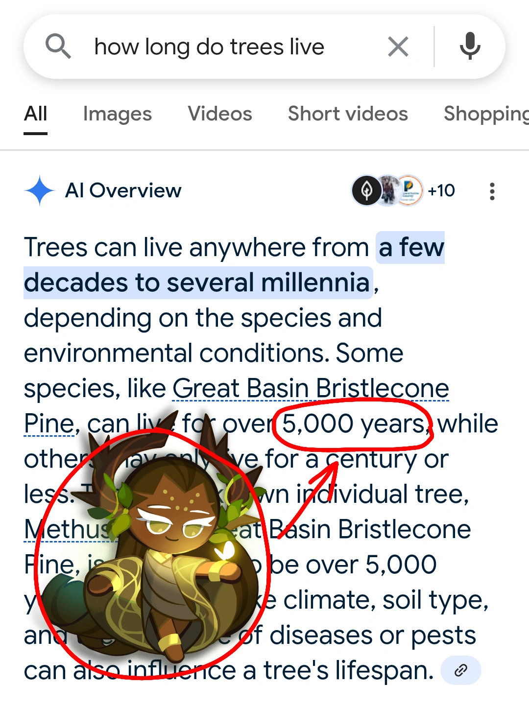 posting a millennial tree Cookie meme before he releases | Fandom