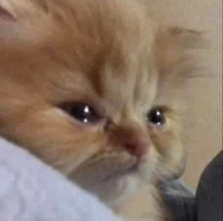 I will explode | Fandom