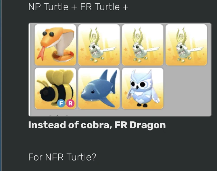 TRADING NFR TURTLE! 🥑 | Fandom