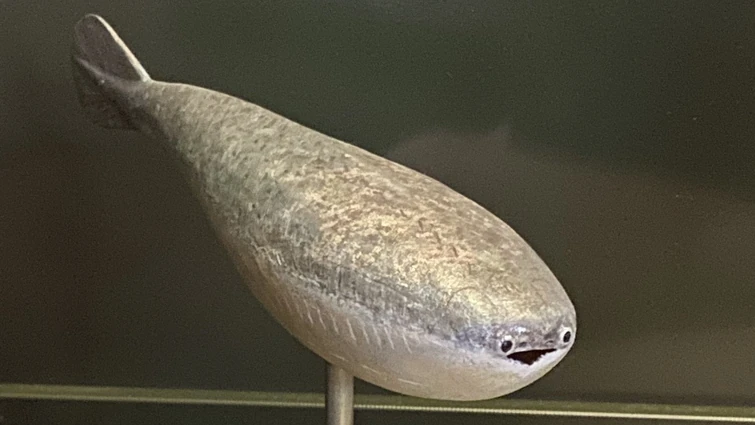 Shit-post 5: The Movie | Fandom