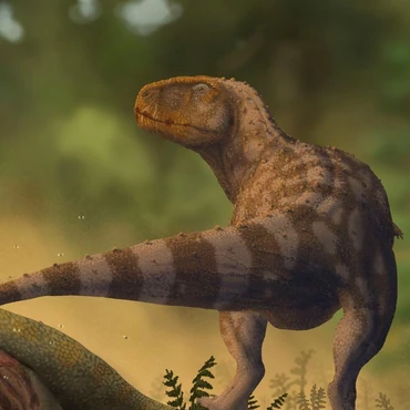 The Most Powerful Theropod - 1:36 | Fandom