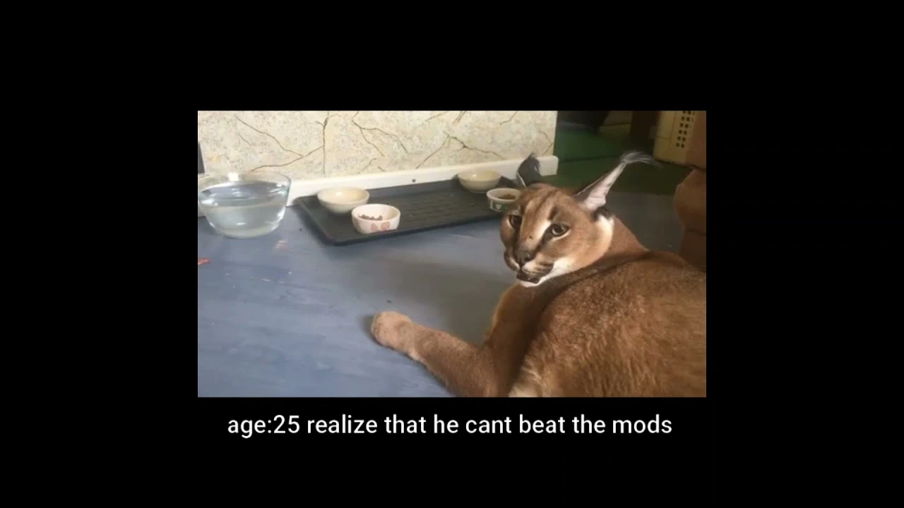 people are stealing floppa vids and calling them hecker | Fandom