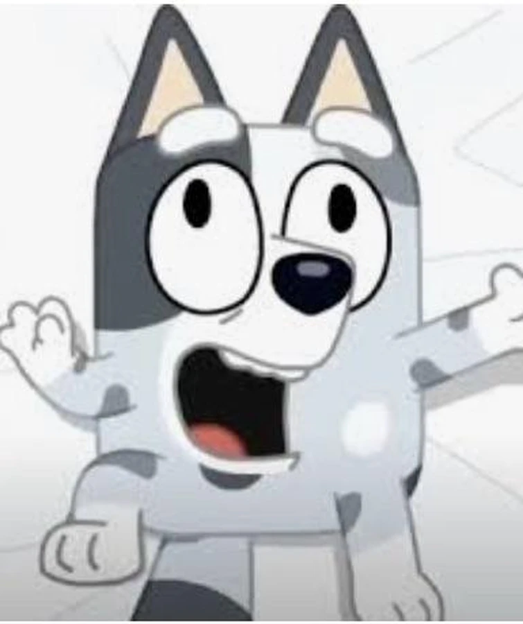 Discuss Everything About Bluey Wiki | Fandom