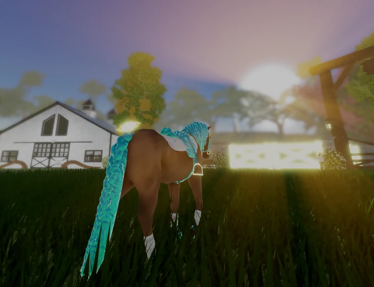 Settings tutorial! | Fandom