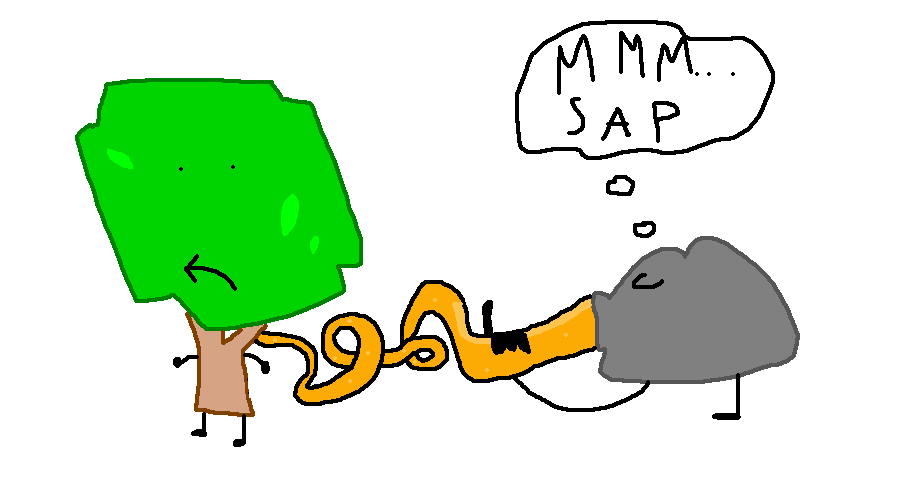 MMM SAP | Fandom
